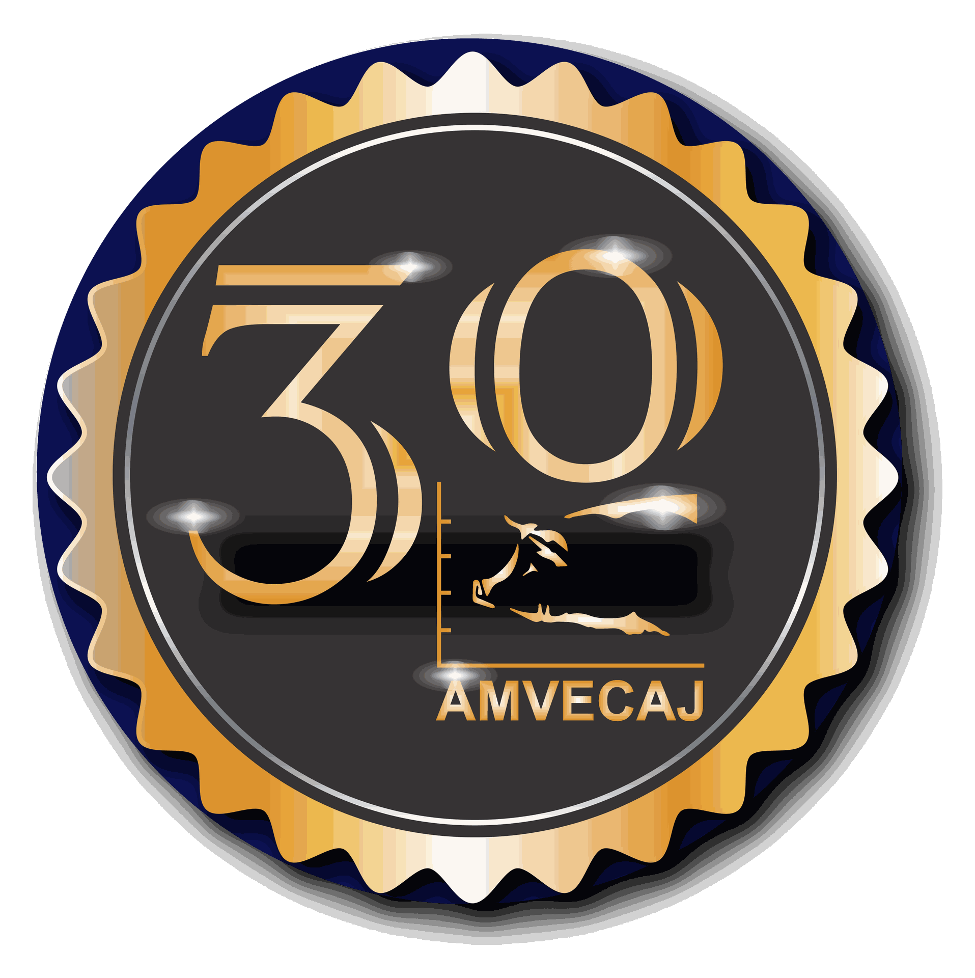 XXX AMVECAJ 2024 | Website AMVECAJ